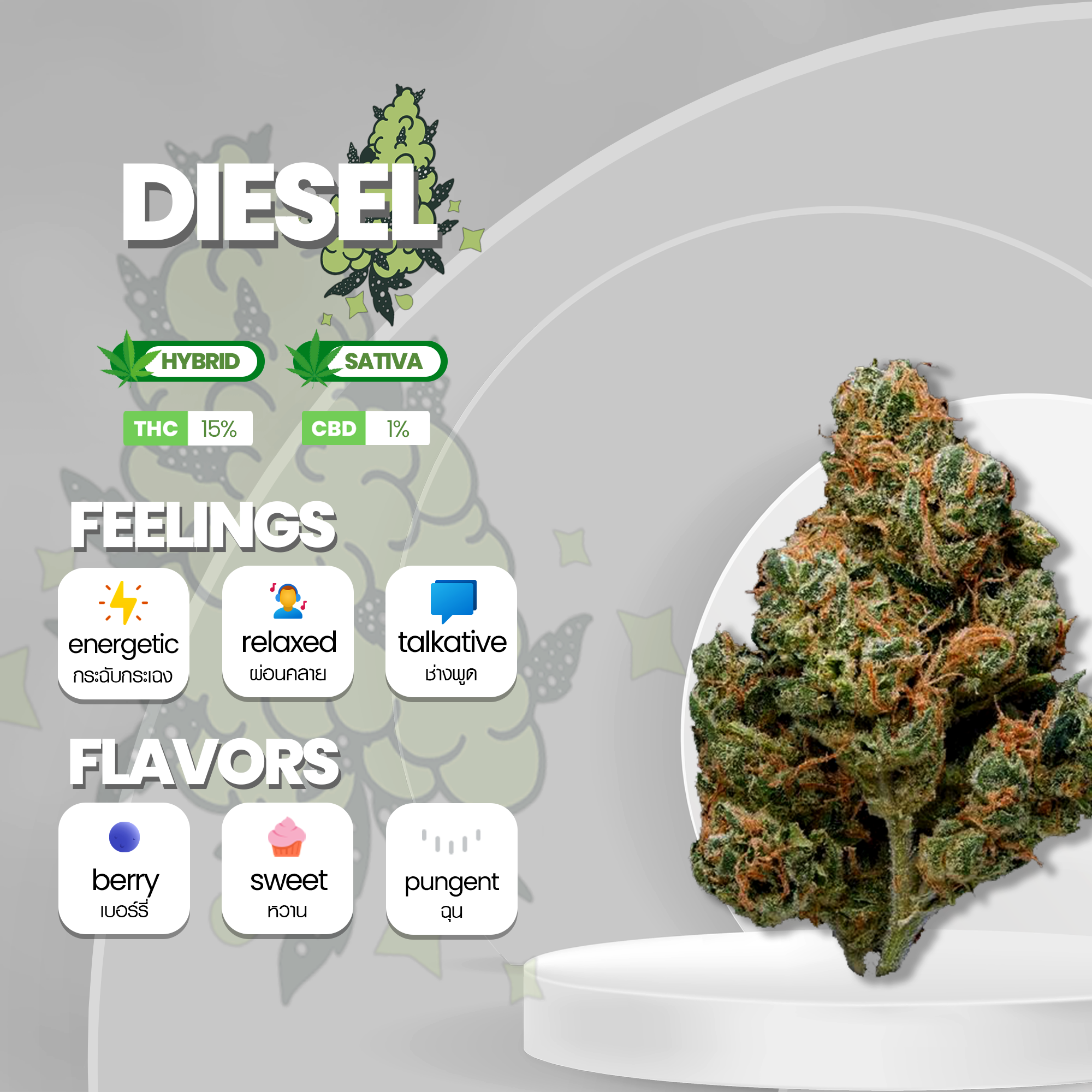 Diesel - Weed Club Thailand